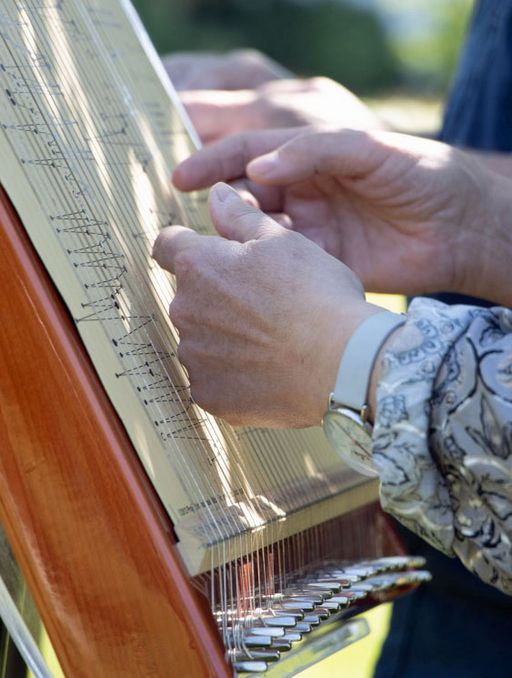 Konzertreihe mit Veeh-Harfe